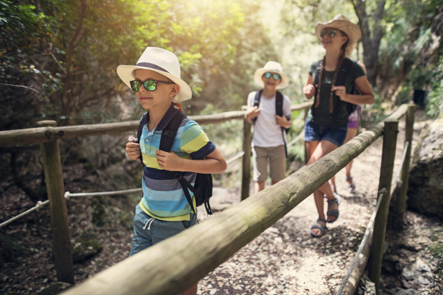 Merkel Cell Carcinoma