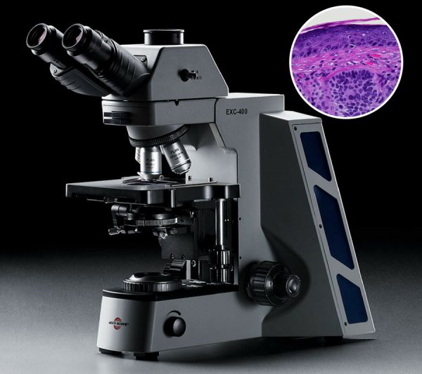 You Need A Biopsy. Now What Happens? Part 2