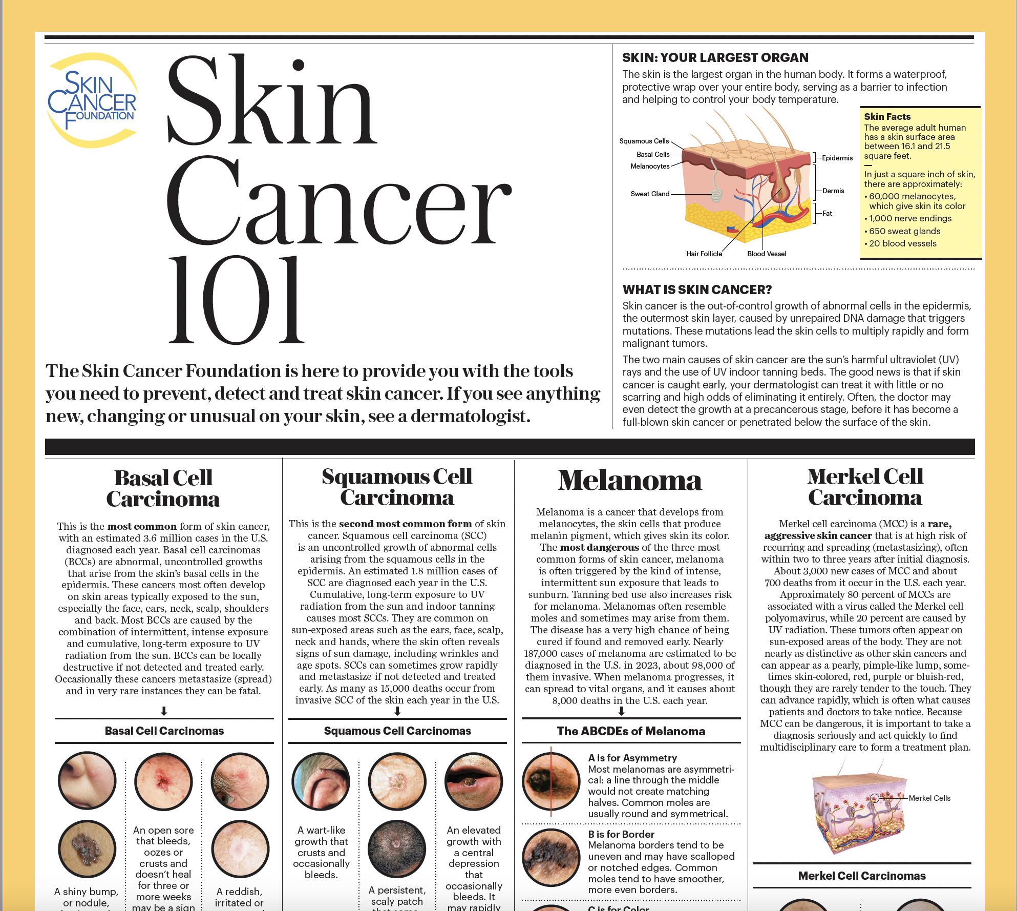 Skin Cancer Information PDF