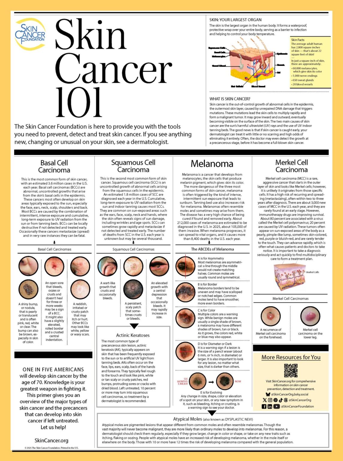 Skin Cancer Information Pdf