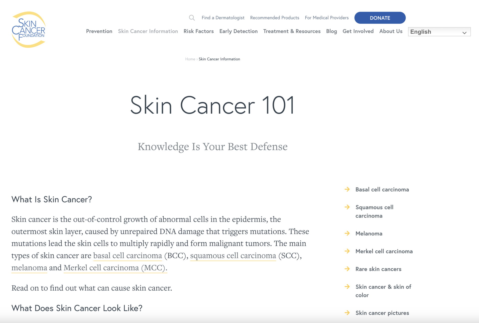 Wherever You Are, We’re There for You, With Skin Cancer Information You ...