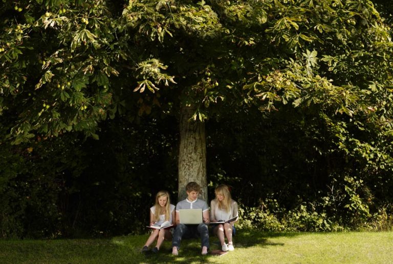 Great Skin Is Made in the Shade